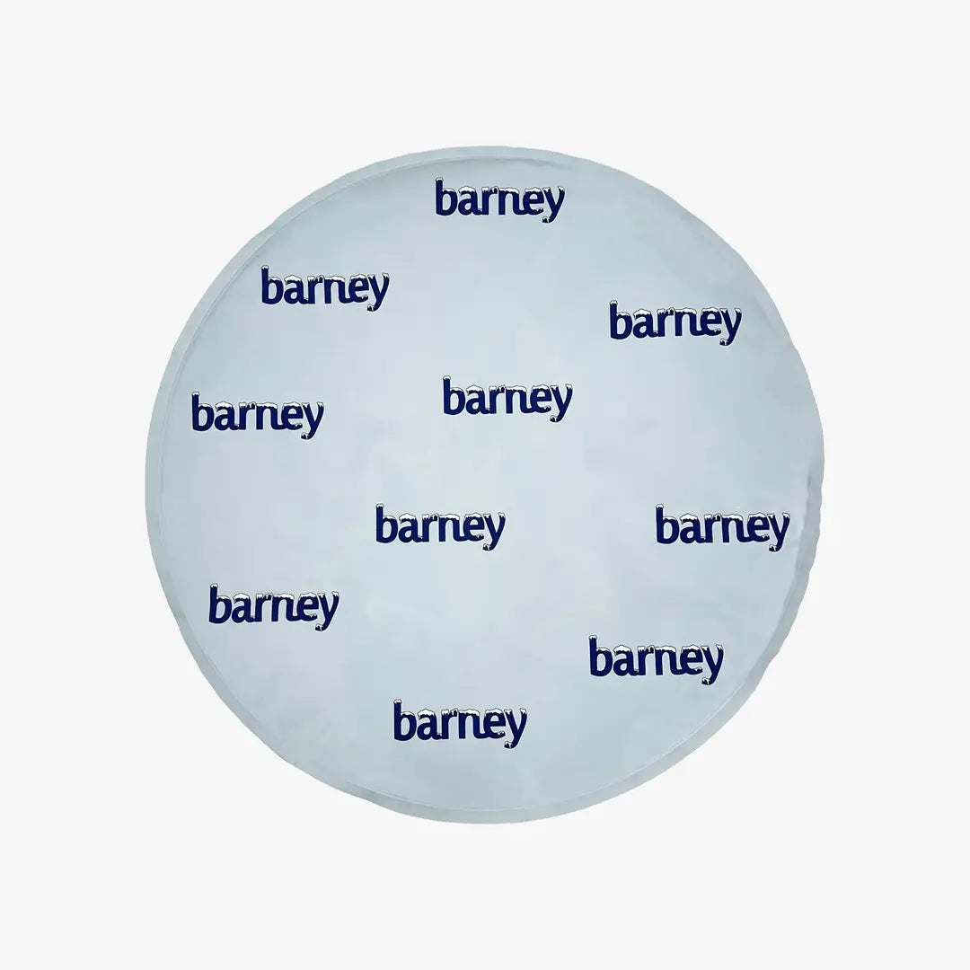 Barney Chill Pad – Barney Bed